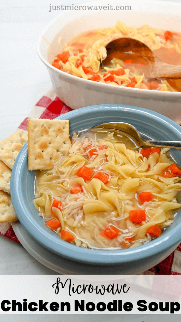 Microwave Chicken Noodle Soup | Just Microwave It