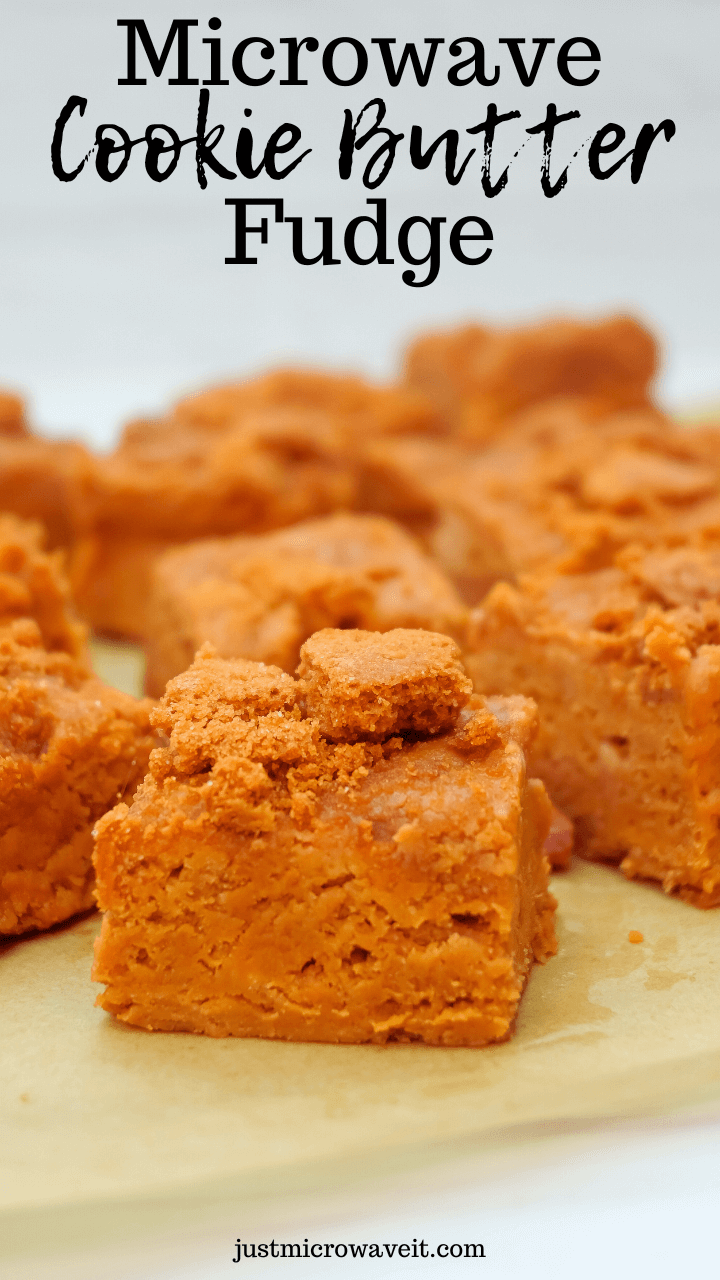 How to make Cookie Butter Fudge in the Microwave | Just Microwave It